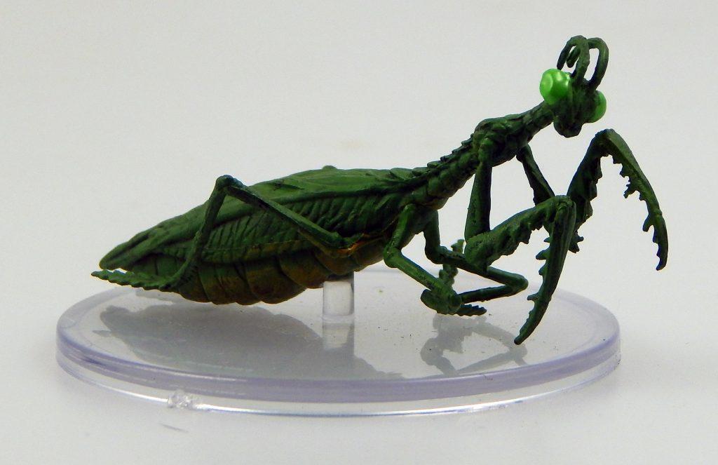 Giant Mantis - DragonShop